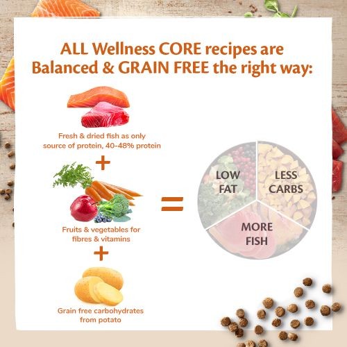 Wellness CORE Ocean Fish Salmon and Tuna Grain Free Dry Adult Cat Food ...