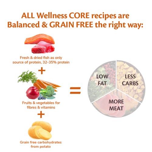 Wellness CORE Ocean Fish Salmon and Tuna Grain Free Adult Dry Dog Food ...