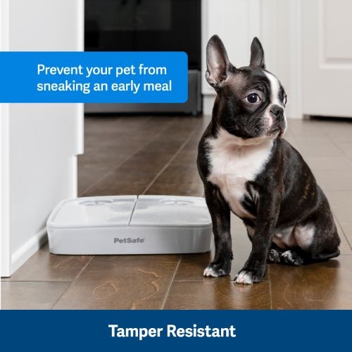 PetSafe® Automatic 2 Meal Pet Feeder | Pet Safe | Pets & Friends