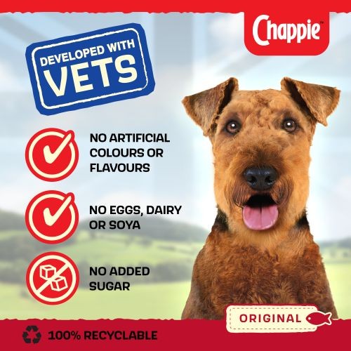 Chappie Adult Original Wet Dog Food Can 12 x 412g | Chappie | Pets ...