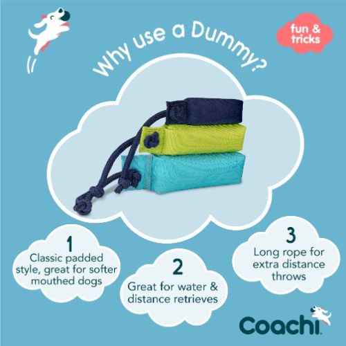 Coachi Light Blue Training Dummy Dog Toy - Large | Coachi | Pets & Friends