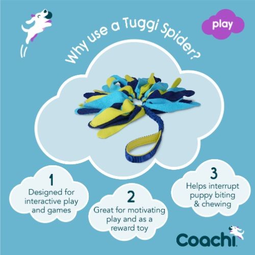 Coachi Training Tuggi Spider Dog Toy | Coachi | Pets & Friends