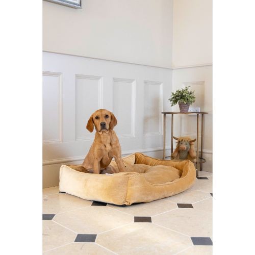House of Paws Mustard Velvet Square Bed M