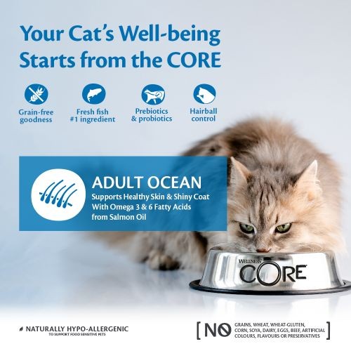 Wellness CORE Ocean Fish Salmon and Tuna Grain Free Dry Adult Cat Food ...
