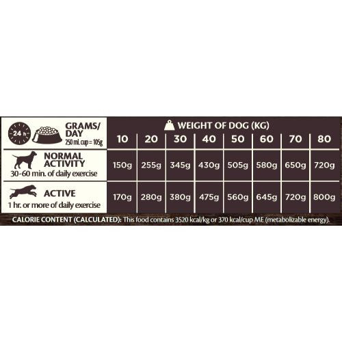 Wellness CORE Ocean Fish Salmon and Tuna Grain Free Adult Dry Dog Food ...