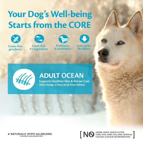 Wellness CORE Ocean Fish Salmon and Tuna Grain Free Adult Dry Dog Food ...