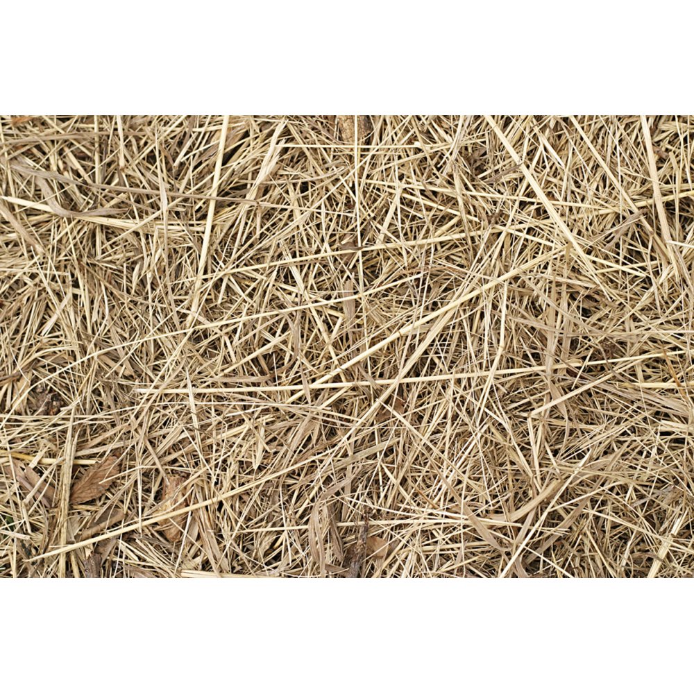 Ray The Hay Small Animal Loose Fill Bagged Straw Large | Kennelgate ...