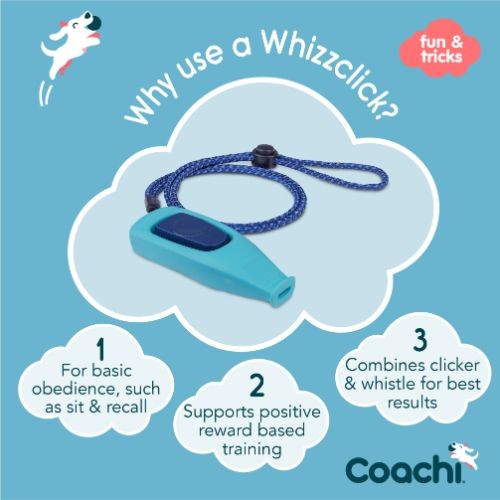 Coachi Light Blue Whizzclick 2 in 1 Training Whistle and Clicker ...